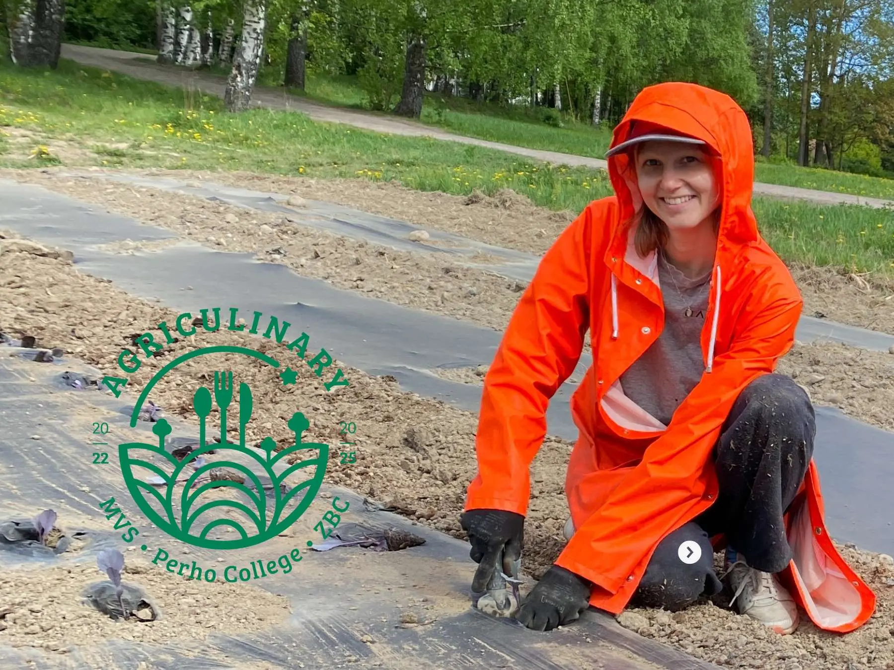 Angelika - How does the Food Industry operates? - Green City Farm